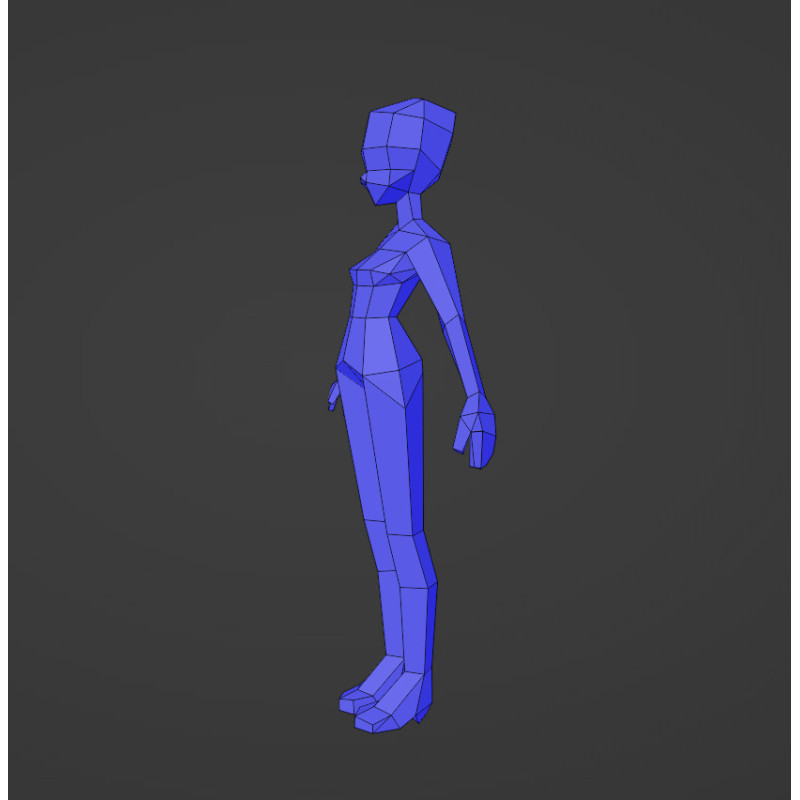 Body 3d Female base of a female characters