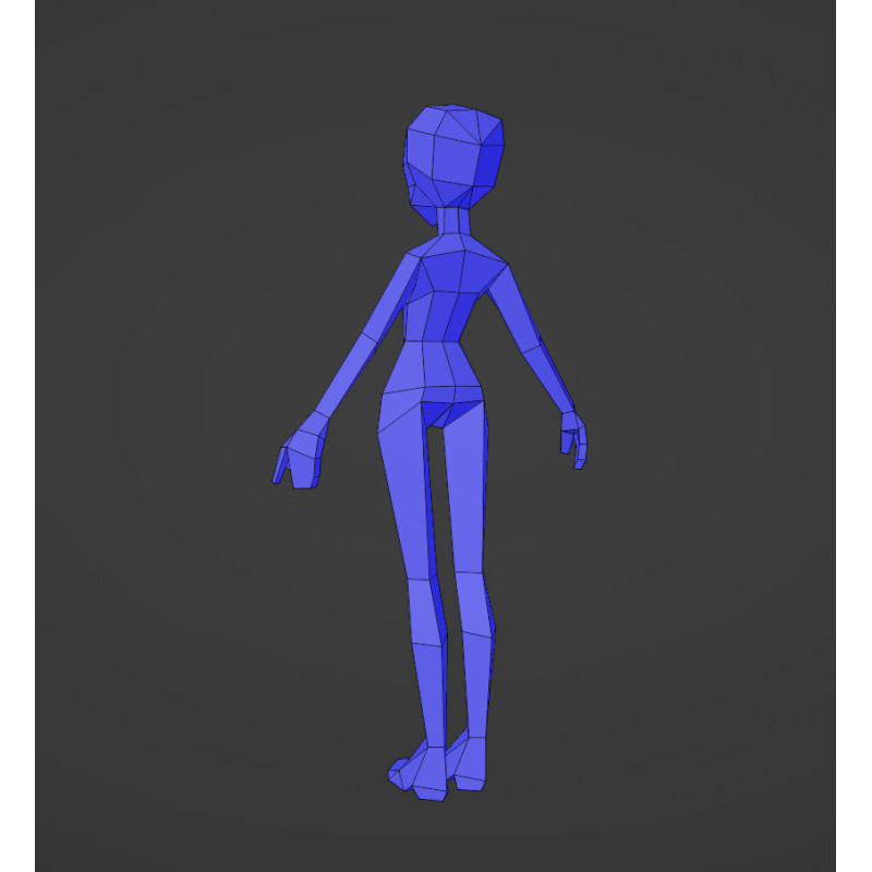 Body 3d Female base of a female characters